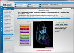 Apex Innovations :: Products :: imPULSE 2.0 Online ECG Competency Series